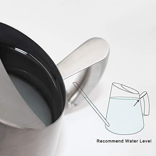 Cesun Metal Watering Can Solid Stainless Steel Pot with Long Spout Sma ...