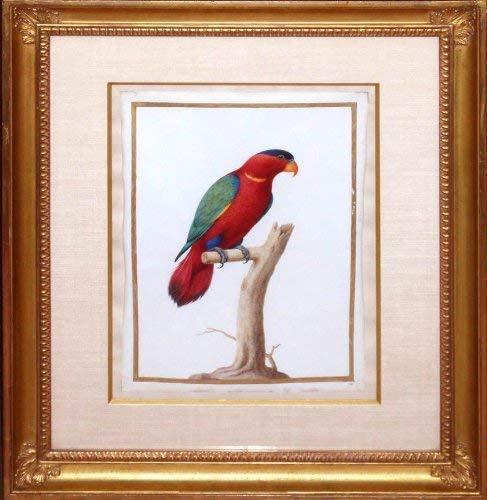 Fictitious Parrot – National Wholesale Products, LLC