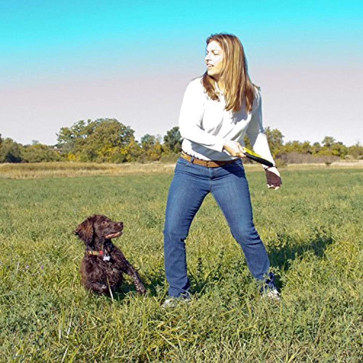 The Original Flippy Flopper Hyper Pet Frisbee 9 (Set of 5) COLORS MAY ...