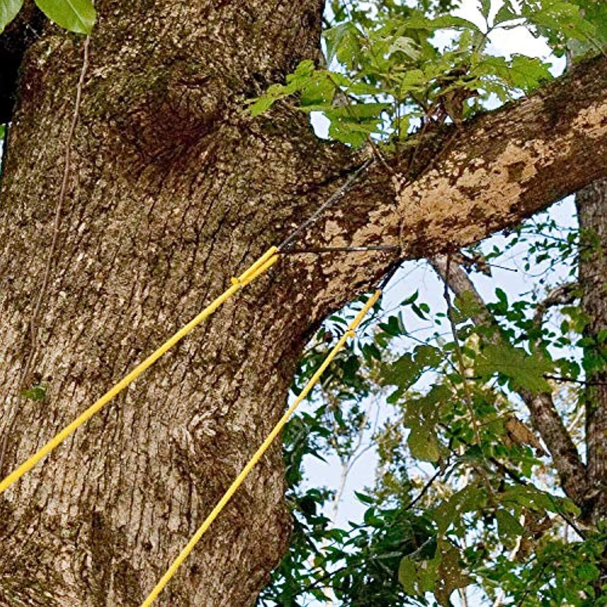 High Limb Brand CS-48 Rope-and-Chain Saw – National Wholesale Products, LLC
