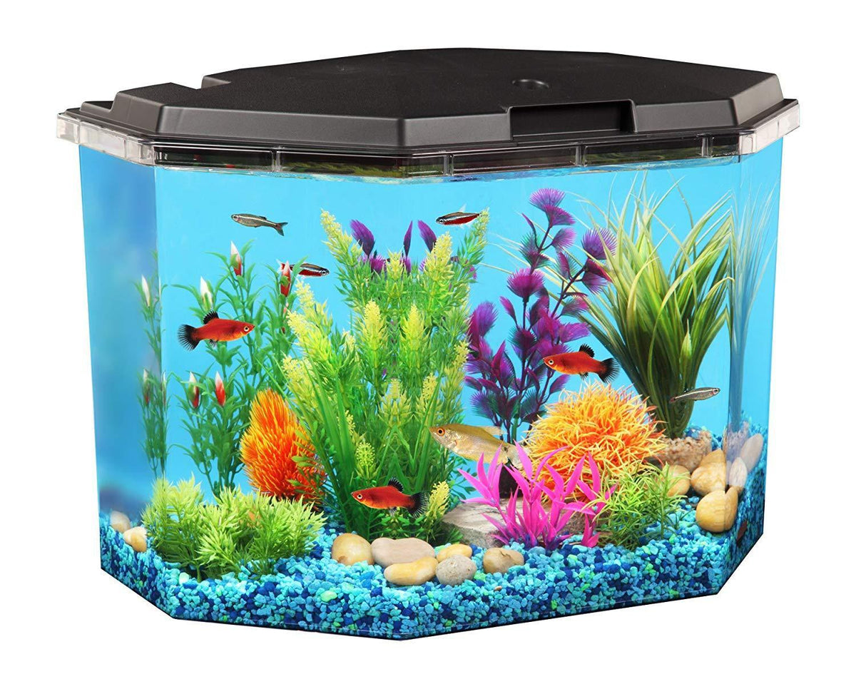 Koller Products 1 Gallon Hex Bettatank - Led Lighting Kit Hexagon Betta ...